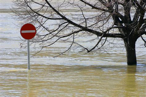 Early Warning Flood Detection A Smart Security Solution