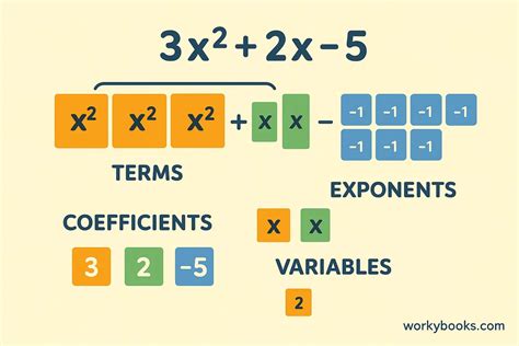 Polynomials Definition Examples Quiz Faq Trivia