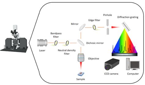 Schematic Overview Of A Raman Microscopy Spectroscopy Setup Download Scientific Diagram