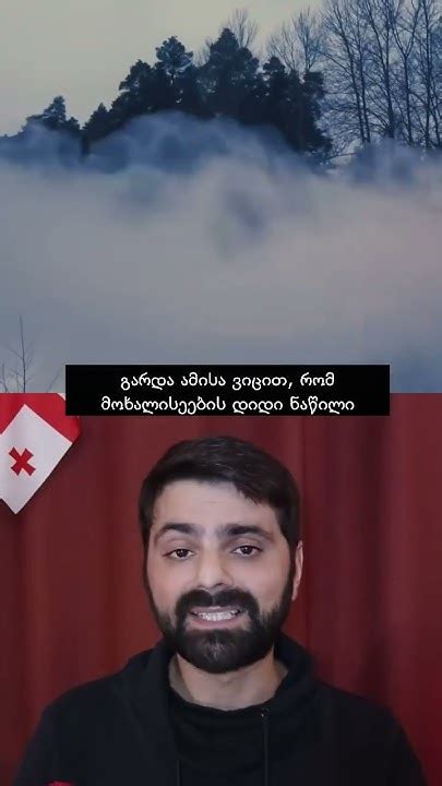 როგორ უნდა იქცეოდეს კარგი ხელისუფლება სტიქიის დროს პოლიტიკა საქართველო გურია დიდთოვლობა