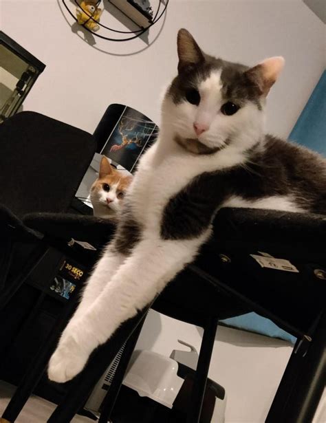 Pov Feetsies R Straightenedfeetsies