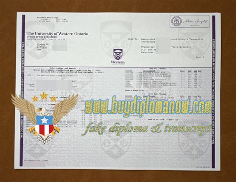 Uwo Fake Diploma Uwo Fake Transcript
