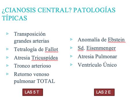 Tipos De Cc Diagram Quizlet
