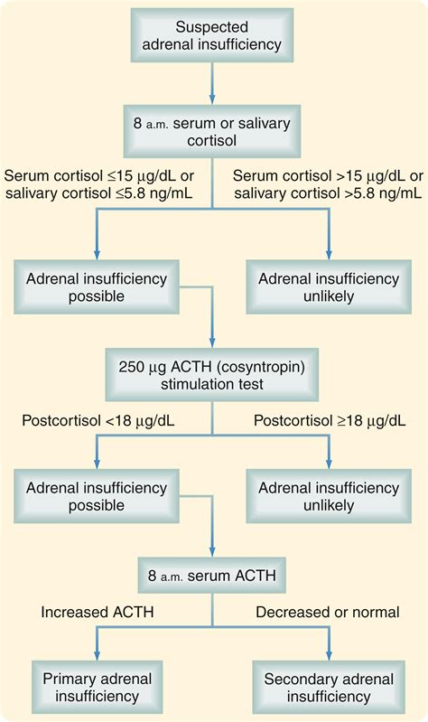 The Adrenal Glands Clinical Tree