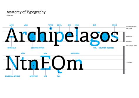 Typography Ckgd Freelance Graphic Designer