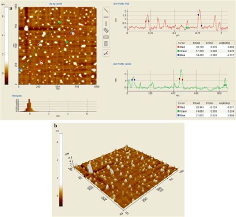 Afm 2d And 3d Image Of C Auriculata Flower Extract Biosynthesized Download Scientific