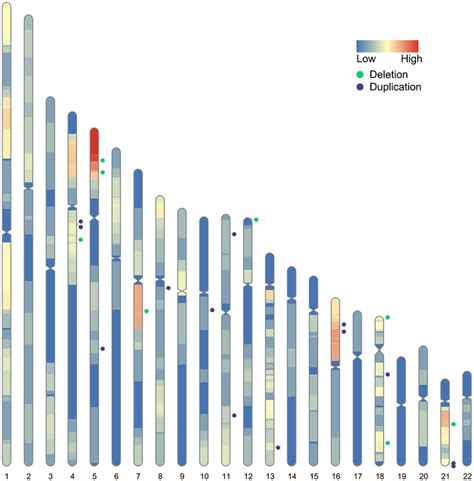 Distribution Of Autosomal 23 Cnvs Diagnosed By Cma Cma Chromosomal