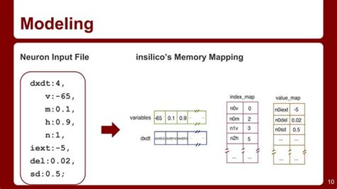 Insilico Neuronal Network Simulation C Library Pdf