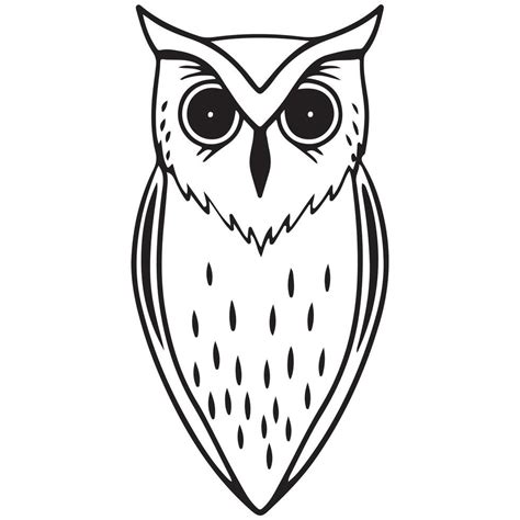 Owl On White Background 57039401 Vector Art At Vecteezy