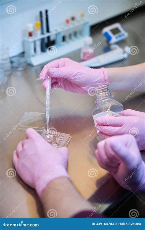 Adult Doctors Transferring Liquid During A Lab Procedure Stock Image Image Of Person Hospital