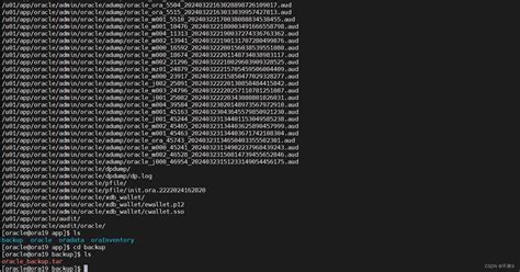 oracle补丁升级（19 3 19 22） oracle 19 3补丁清单 csdn博客