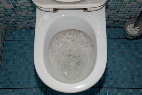 Сделать из мужа унитаз - 86 фото