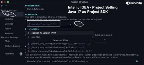 IntelliJ IDEA Project Module And Latest Java Setup Java Or Newer Crunchify