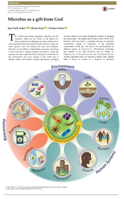 Ajar Nath Yadav On Linkedin Biotechnology Microbiology Microbiome India Scopus