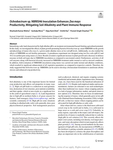 Ochrobactrum Sp Nbrish6 Inoculation Enhances Zea Mays Productivity