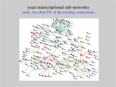 Ppt Yeast Transcription Networks Structure Dynamics And Evolution Powerpoint Presentation
