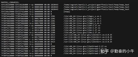 TCmalloc 让内存泄漏变的老老实实 知乎