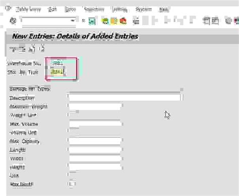 Define Storage Bin Types In Sap