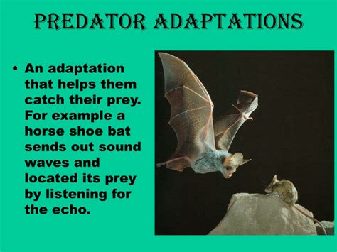 Ppt Living Things Interaction And Adaptation In Ecosystems Powerpoint Presentation Id9523899 Ppt Living Things Interaction And Adaptation In Ecosystems Powerpoint Presentation Id9523899