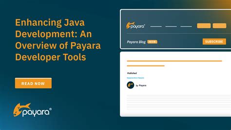 Enhancing Java Development An Overview Of Payara Developer Tools