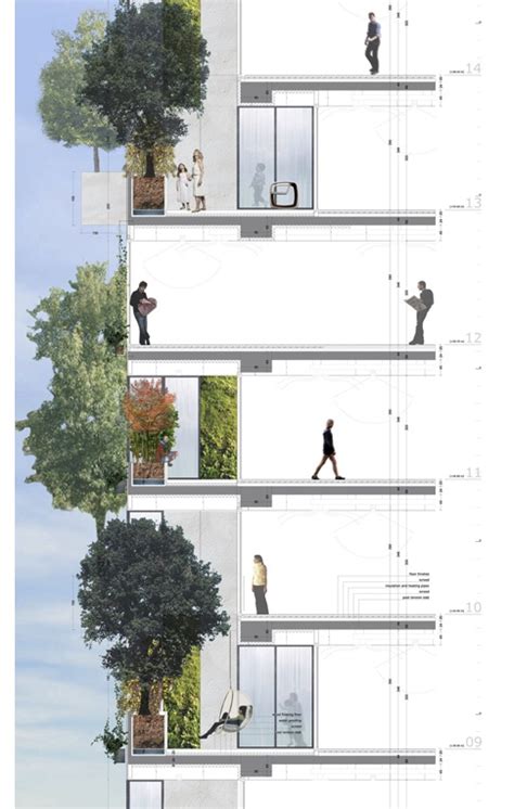 Greening The Apartment Landscape Trees On Buildings