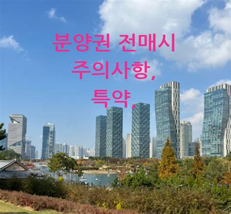 분양권 전매 시 주의사항 및 특약 등 챙겨봐야할 부분 부동산 다름 네이버 블로그
