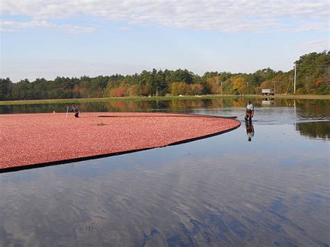 Mental Models For Data Engineering And Data Science Random Tech Thoughts