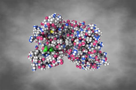 Kaposi S Sarcoma Associated Herpesvirus Protease In Complex With