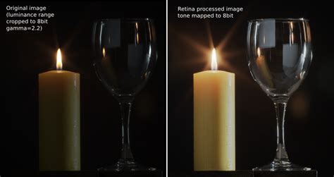 opencv bioinspired module retina introduction