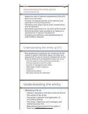 Understanding Entity and Its Environment: Risks, Accounting | Course Hero