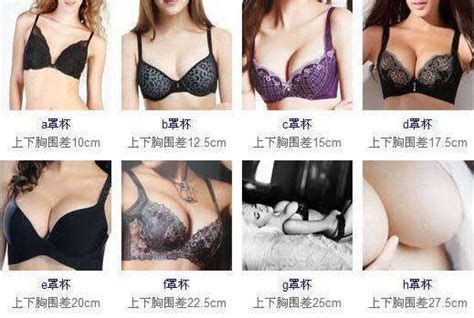 罩杯大小示意图 你知道a到f罩杯的胸多大吗发发网