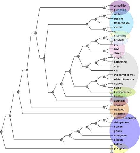 clustering with our method and wpgma download scientific diagram