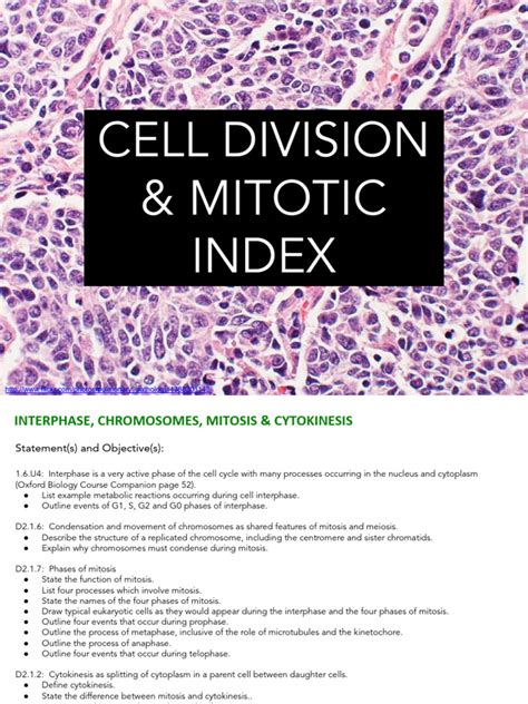 Biology 11 Cell Division And Mitotic Index Pdf Mitosis Chromosome