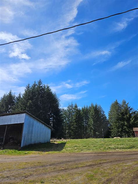 Whiskers And Feathers Ranch Hipcamp In Winlock Washington