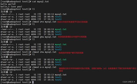 linux 目录操作、文件操作命令、chmod文件权限管理控制 linux bat chmod csdn博客