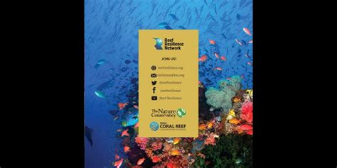 How We Work Reef Resilience Network