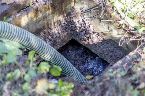 Septic Systems Fruit Trees Livestrong Com