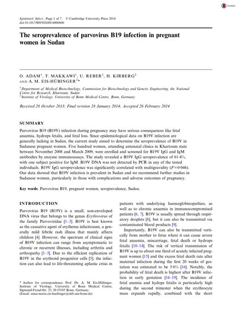 Pdf The Seroprevalence Of Parvovirus B19 Infection In Pregnant Women