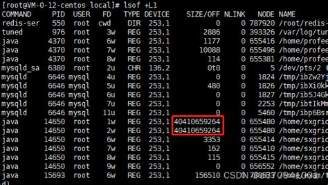 linux磁盘空间占满了 linux什么都没有安装服务器的可用大小满了 csdn博客