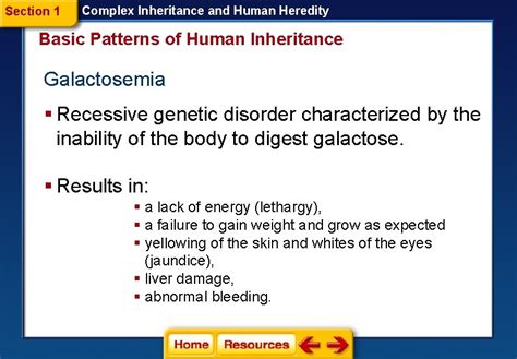 Complex Inheritance And Human Heredity Section 1 Basic