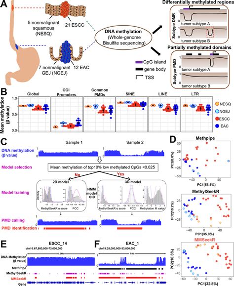 Identification Of Pmds In Esophageal Samples By A Sequence Aware