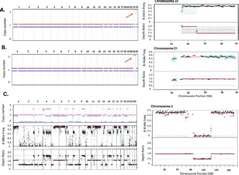 Example Of Allele Specific Cnv Calls Generated From Modified Bam Files Download Scientific