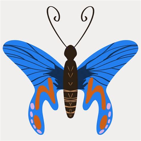 Premium Vector Butterfly Wing Blue Art Illustration Line And Color