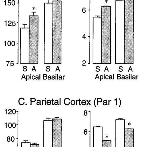 Quantitative Analysis Of Dendritic Length Left And Spine Density