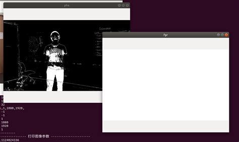 Issue After Convert To Onnx And Openvino Issue Peterl N Backgroundmattingv Github