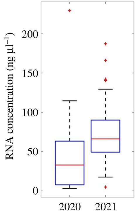 A Mammalian Messenger Rna Sex Determination Method From Humpback Whale Megaptera Novaeangliae