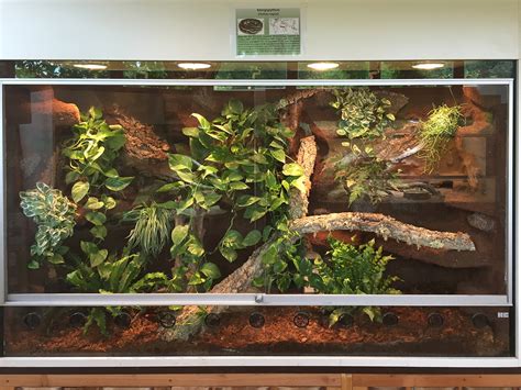 Terrarium Für Königspythons Für Den Tierpark Herborn Hoppe Terrarienbau