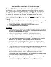 Lab Practical Study Guide Docx Lab Practical Study Guide For Microbiology As You
