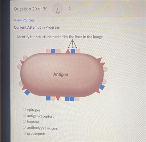 solved current attempt in progress identify the structure