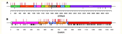 Distribution Of Variants A Pathogenic Or Likely Pathogenic Null